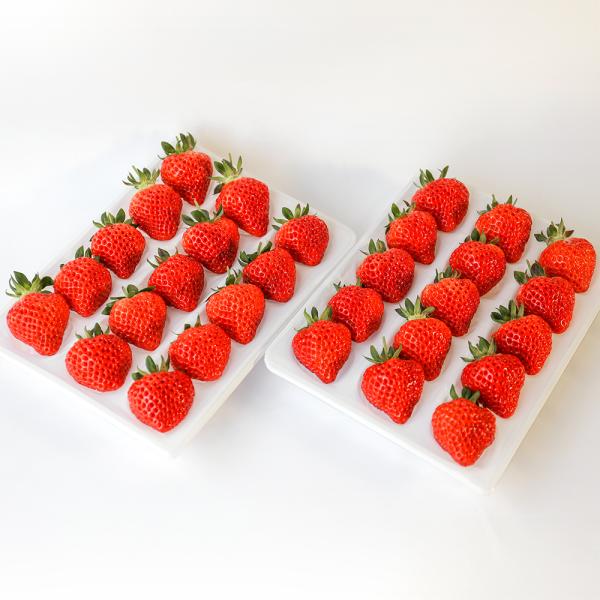 【発売日：2026年01月28日】聖籠町の観光果樹園が栽培した、新潟のブランド苺「越後姫」。果肉がとってもやわらかく、なかなか県外に出回らない品種です。箱を開けた瞬間に漂う芳醇な香りと、濃厚な味わいにうっとりします。巨峰やシャインマスカット...