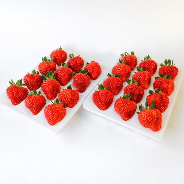 【発売日：2026年01月28日】聖籠町の観光果樹園が栽培した、新潟のブランド苺「越後姫」。果肉がとってもやわらかく、なかなか県外に出回らない品種です。箱を開けた瞬間に漂う芳醇な香りと、濃厚な味わいにうっとりします。巨峰やシャインマスカット...