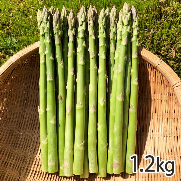 【発売日：2026年04月07日】アスパラガスの名産地・新発田市産です。農薬や化学肥料に頼らず、自然の力を活かしながら手間ひまかけて育てました。シャキシャキとみずみずしい食感と、甘みたっぷりの濃厚な味わいをお楽しみください！新発田市は、「美...