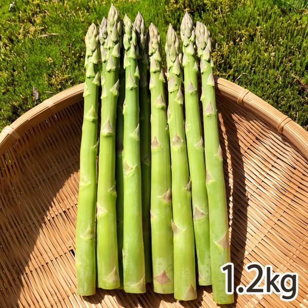 【発売日：2026年04月07日】アスパラガスの名産地・新発田市産です。農薬や化学肥料に頼らず、自然の力を活かしながら手間ひまかけて育てました。シャキシャキとみずみずしい食感と、甘みたっぷりの濃厚な味わいをお楽しみください！新発田市は、「美...
