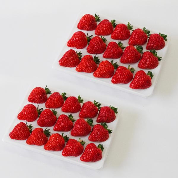 真っ赤に輝く姿は、まるで宝石のよう！新潟が誇る春の味覚、ブランドいちご「越後姫」。やわらかい果肉に濃厚な甘みがギュッと詰まっています。大切な方への贈り物、自分へのご褒美にどうぞ。越後姫は数ある品種の中でも特に甘みが濃厚！やわらかくてジューシ...