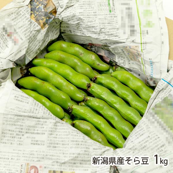 【発売日：2026年05月17日】しっとり、ホクホク食感が美味しいそらまめ。春から初夏にかけて、わずかな時期しか収穫できない野菜です。茹でるも良し、香ばしく焼いても良し！食卓の一品はもちろん、ビールのおつまみにもどうぞ。そら豆は、初夏の味覚...