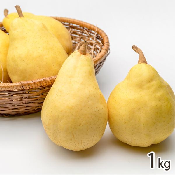 【発売日：2026年11月17日】信濃川が流れる加茂市で育った、みずみずしくジューシーな和梨。自家栽培しているお米のもみ殻や、有機質肥料を活用しながら栽培されました。夏から冬にかけて、さまざまな品種をご用意しています。加茂市は、県内有数の果...