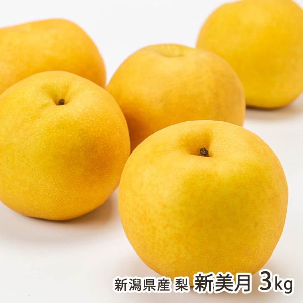 【発売日：2026年09月07日】シャリシャリで水分たっぷり！果樹栽培が盛んな加茂市で育った、みずみずしくてジューシーな和梨です。さわやかな甘みと酸味のバランスが抜群！ひんやり冷やしてからお召し上がりください。加茂市は県内有数のフルーツ王国...