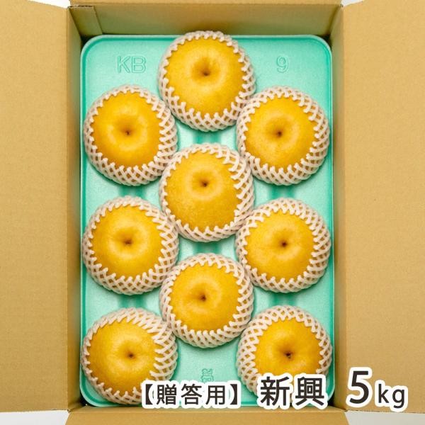 【発売日：2026年10月07日】秋の味覚として親しまれる和梨。今回は、果樹栽培が盛んな加茂市の農家が育てた「新興」をご紹介します。棚栽培で太陽の光をたっぷりと浴びて育った梨は、甘くてジューシーな果汁があふれます。果樹栽培が盛んな加茂市の入...