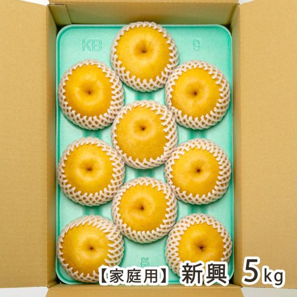 【発売日：2026年10月07日】秋の味覚として親しまれる和梨。今回は、果樹栽培が盛んな加茂市の農家が育てた「新興」をご紹介します。棚栽培で太陽の光をたっぷりと浴びて育った梨は、甘くてジューシーな果汁があふれます。果樹栽培が盛んな加茂市の入...