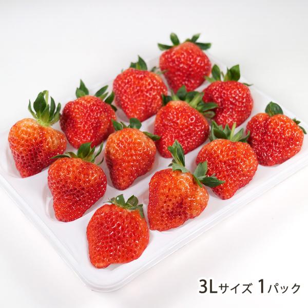 【発売日：2026年02月07日】越後姫は、新潟のブランドいちご。可憐な姿が、お姫様のようであることからその名がつきました。果実が繊細で、なかなか県外に出回らない希少品種。お世話になった方へのギフトや自分へのご褒美にどうぞ！越後姫は、数ある...