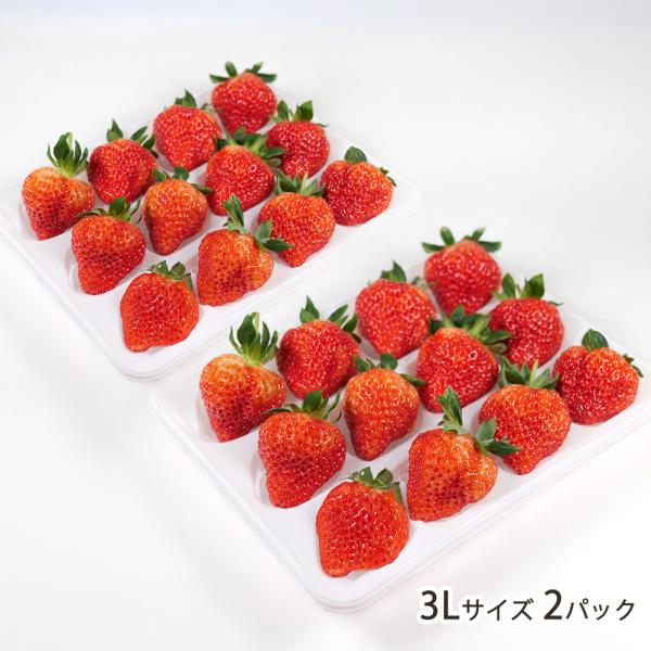 【発売日：2026年02月07日】越後姫は、新潟のブランドいちご。可憐な姿が、お姫様のようであることからその名がつきました。果実が繊細で、なかなか県外に出回らない希少品種。お世話になった方へのギフトや自分へのご褒美にどうぞ！越後姫は、数ある...