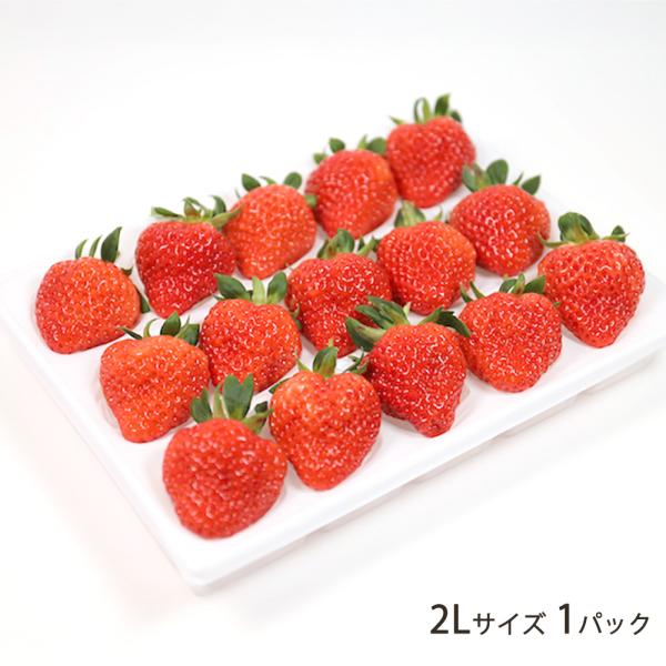 【発売日：2026年02月07日】越後姫は、新潟のブランドいちご。可憐な姿が、お姫様のようであることからその名がつきました。果実が繊細で、なかなか県外に出回らない希少品種。お世話になった方へのギフトや自分へのご褒美にどうぞ！越後姫は、数ある...