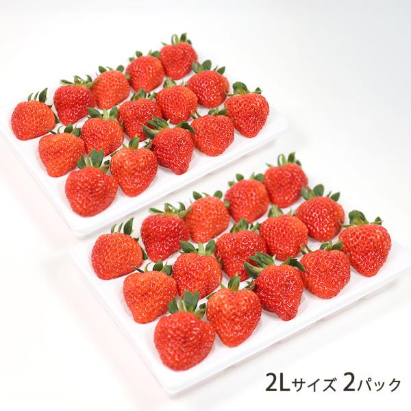 【発売日：2026年02月07日】越後姫は、新潟のブランドいちご。可憐な姿が、お姫様のようであることからその名がつきました。果実が繊細で、なかなか県外に出回らない希少品種。お世話になった方へのギフトや自分へのご褒美にどうぞ！越後姫は、数ある...