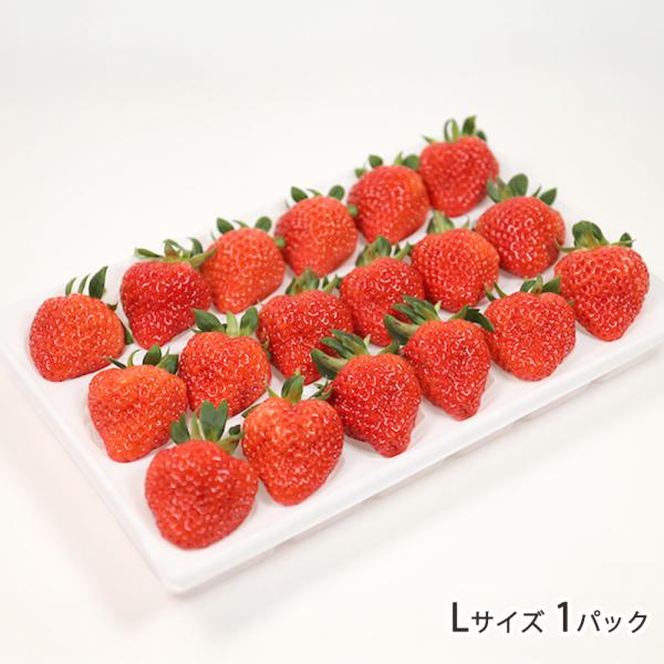 【発売日：2026年04月07日】越後姫は、新潟のブランドいちご。可憐な姿が、お姫様のようであることからその名がつきました。果実が繊細で、なかなか県外に出回らない希少品種。お世話になった方へのギフトや自分へのご褒美にどうぞ！越後姫は、数ある...