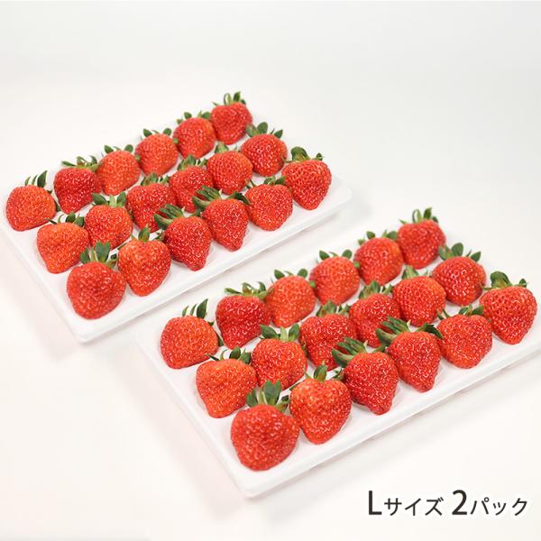 【発売日：2026年04月07日】越後姫は、新潟のブランドいちご。可憐な姿が、お姫様のようであることからその名がつきました。果実が繊細で、なかなか県外に出回らない希少品種。お世話になった方へのギフトや自分へのご褒美にどうぞ！越後姫は、数ある...