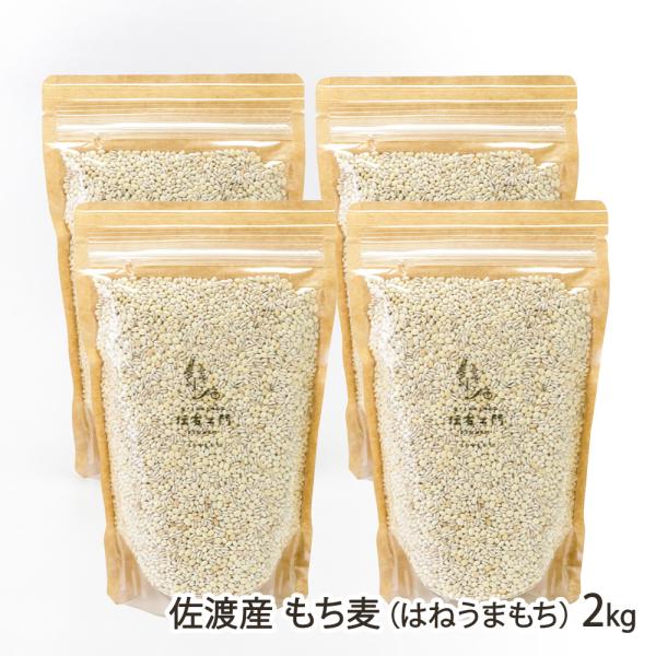 自然豊かな佐渡市で育った「もち麦」。もちもち・ぷちぷちとした独特の食感がクセになる美味しさです。お米と一緒に炊いたり、リゾットにしたり、毎日の食事に気軽に取り入れてみてください！「むぎとお米と柿農家 伝右ェ門（でんねむ）」は、日本海に浮かぶ...