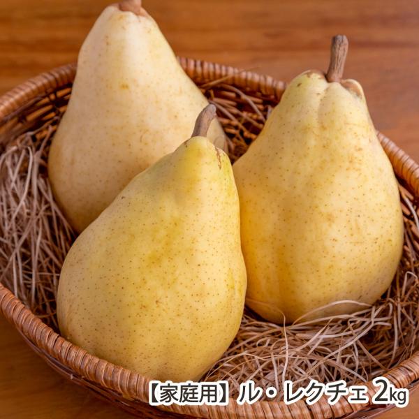 【発売日：2026年11月17日】芳醇な香りが魅力の「ル・レクチェ」。信濃川と中ノ口川に囲まれた肥沃な土壌で育んだ、濃厚な甘みとジューシーな果汁が楽しめます。緻密な果肉で口あたりも滑らか！冬にしか食べられない特別な果実です。三条市の「こひな...