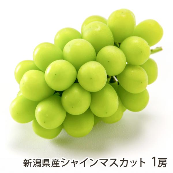 【発売日：2026年08月07日】濃厚な甘みとさわやかな後味の「シャインマスカット」。信濃川と中ノ口川に囲まれた肥沃な土壌で育ちました。ジューシーな果汁が口いっぱいに広がりますよ。夏から秋にかけてのギフトにおすすめです。信濃川と中ノ口川に囲...