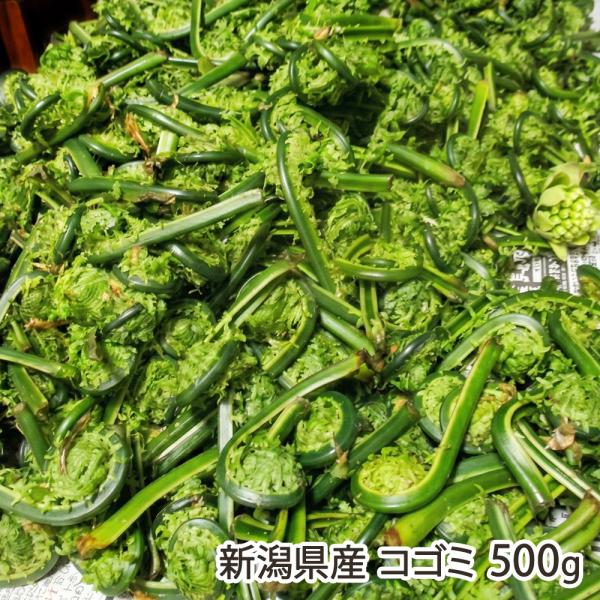 【発売日：2026年04月07日】雄大な鉾ヶ岳の麓で、雪解け水と肥沃な土壌が育んだ能生谷の山菜です。厳しい冬を越えて顔を出した山菜を、一つひとつ丁寧に採集し、朝採りのものをその日のうちに発送！春の香りをお届けします。糸魚川市能生谷の「おおか...