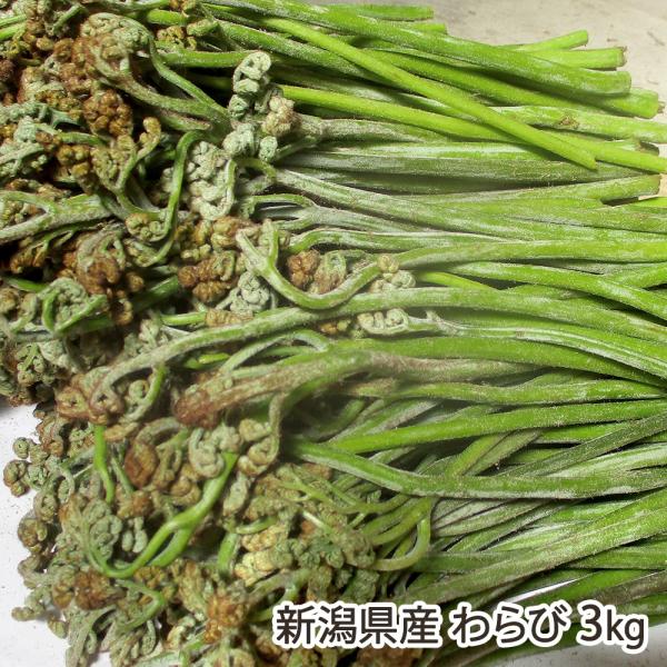 【発売日：2026年04月17日】雄大な鉾ヶ岳の麓で、雪解け水と肥沃な土壌が育んだ能生谷の山菜です。厳しい冬を越えて顔を出した山菜を、一つひとつ丁寧に採集し、朝採りのものをその日のうちに発送！春の香りをお届けします。糸魚川市能生谷の「おおか...