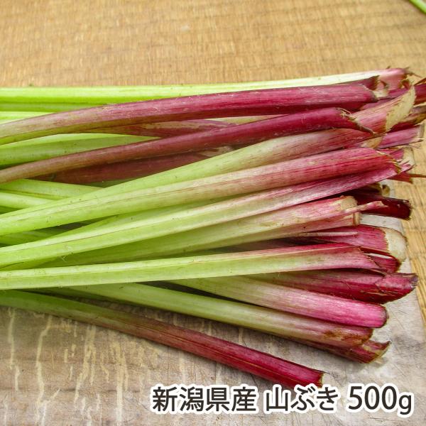 【発売日：2026年04月27日】雄大な鉾ヶ岳の麓で、雪解け水と肥沃な土壌が育んだ能生谷の山菜です。厳しい冬を越えて顔を出した山菜を、一つひとつ丁寧に採集し、朝採りのものをその日のうちに発送！春の香りをお届けします。糸魚川市能生谷の「おおか...