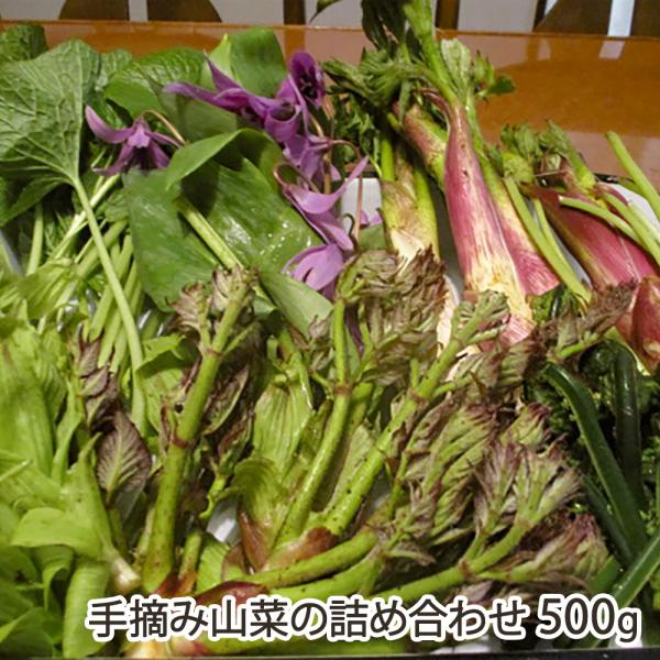 【発売日：2026年03月28日】雄大な鉾ヶ岳の麓で、雪解け水と肥沃な土壌が育んだ能生谷の山菜です。厳しい冬を越えて顔を出した山菜を、一つひとつ丁寧に採集し、朝採りのものをその日のうちに発送！春の香りをお届けします。糸魚川市能生谷の「おおか...