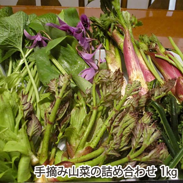 【発売日：2026年03月28日】雄大な鉾ヶ岳の麓で、雪解け水と肥沃な土壌が育んだ能生谷の山菜です。厳しい冬を越えて顔を出した山菜を、一つひとつ丁寧に採集し、朝採りのものをその日のうちに発送！春の香りをお届けします。糸魚川市能生谷の「おおか...