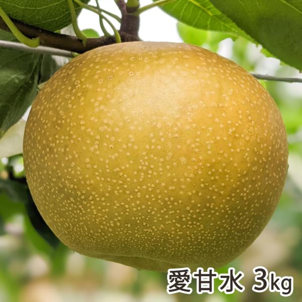 【発売日：2026年08月07日】古くから栽培が盛んな小阿賀野川周辺で育った和梨。自家製のぼかし肥料によって、濃厚な甘さを最大限引き出しました。和梨の一大産地である、新潟市江南区二本木地区の「佐藤梨園」。保水力と水はけのバランスに優れ、川が...