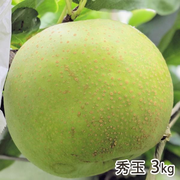 【発売日：2026年08月28日】古くから栽培が盛んな小阿賀野川周辺で育った和梨。自家製のぼかし肥料によって、濃厚な甘さを最大限引き出しました。和梨の一大産地である、新潟市江南区二本木地区の「佐藤梨園」。保水力と水はけのバランスに優れ、川が...