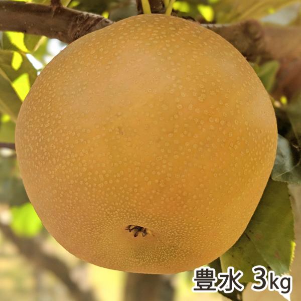 【発売日：2026年09月07日】古くから栽培が盛んな小阿賀野川周辺で育った和梨。自家製のぼかし肥料によって、濃厚な甘さを最大限引き出しました。和梨の一大産地である、新潟市江南区二本木地区の「佐藤梨園」。保水力と水はけのバランスに優れ、川が...