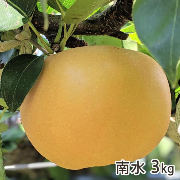 【発売日：2026年09月07日】古くから栽培が盛んな小阿賀野川周辺で育った和梨。自家製のぼかし肥料によって、濃厚な甘さを最大限引き出しました。和梨の一大産地である、新潟市江南区二本木地区の「佐藤梨園」。保水力と水はけのバランスに優れ、川が...