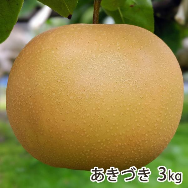 【発売日：2026年09月07日】古くから栽培が盛んな小阿賀野川周辺で育った和梨。自家製のぼかし肥料によって、濃厚な甘さを最大限引き出しました。和梨の一大産地である、新潟市江南区二本木地区の「佐藤梨園」。保水力と水はけのバランスに優れ、川が...