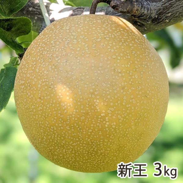 【発売日：2026年09月17日】古くから栽培が盛んな小阿賀野川周辺で育った和梨。自家製のぼかし肥料によって、濃厚な甘さを最大限引き出しました。和梨の一大産地である、新潟市江南区二本木地区の「佐藤梨園」。保水力と水はけのバランスに優れ、川が...