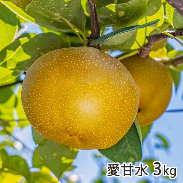 【発売日：2026年08月07日】新潟市江南区で育てられた和梨。有機質肥料と、すべての実に袋をかける丁寧な手仕事によって、濃厚な甘みと美しい姿を持つ梨が生み出されます。古くから梨栽培が盛んな新潟市江南区茅野山地区で、代々続く梨づくりを受け継...