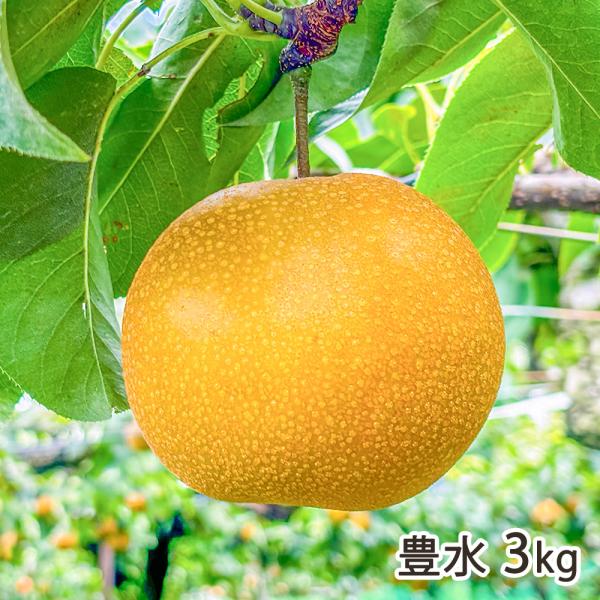 【発売日：2026年08月28日】新潟市江南区で育てられた和梨。有機質肥料と、すべての実に袋をかける丁寧な手仕事によって、濃厚な甘みと美しい姿を持つ梨が生み出されます。古くから梨栽培が盛んな新潟市江南区茅野山地区で、代々続く梨づくりを受け継...