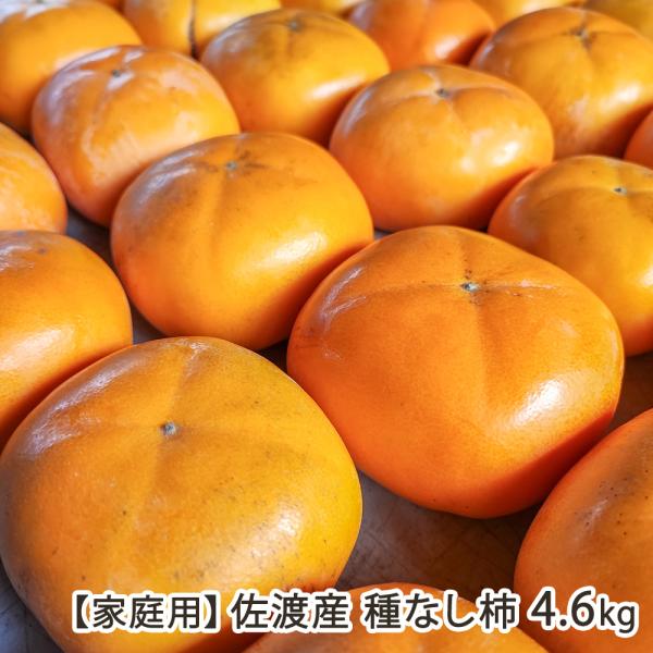 【発売日：2026年09月27日】佐渡市羽茂地区の穏やかな気候に育まれた種なし柿。昔ながらの方法で丁寧に渋抜きして、とろけるような食感と濃厚な甘みを引き出しました。今回は、規格からわずかに外れた「家庭用商品」をお届けします！果樹栽培が盛んな...