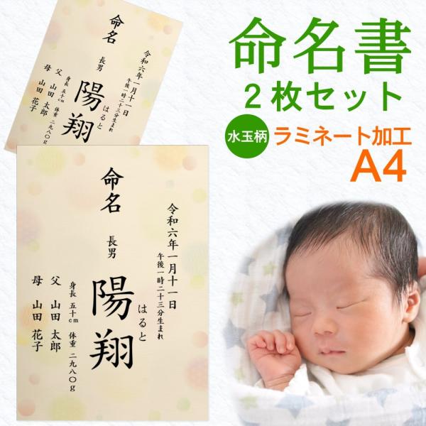 ■商品名：命名書（MZ-6）×2点セット 命名紙 水玉柄 A4 ラミネート（標準印刷項目：生年月日、出生時刻、続柄、お名前・ふりがな、出生時身長・体重、父、母：項目省略可）・書体は「楷書体」「行書体」の2種類よりお選びいただけます。・命名書...