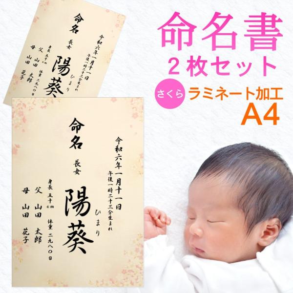 ■商品名：命名書（SK-6）×2点セット 命名紙 桜 A4 ラミネート（標準印刷項目：生年月日、出生時刻、続柄、お名前・ふりがな、出生時身長・体重、父、母：項目省略可）・書体は「楷書体」「行書体」の2種類よりお選びいただけます。・命名書印刷...