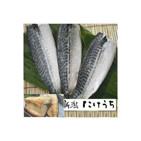 美味しいサバをお探しの方、必見です。甘塩だけど、サバの旨味とジュワ〜としたコクが味わえます。一匹、一匹氷水の中で作り上げ、干し上げているからこそでる、サバ本来の旨味です。ノルウエー産の冷たい水できたえあげられた、脂ののった大型のさばを原料に...