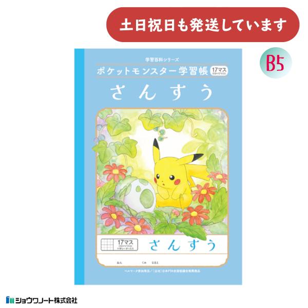 ◇製品仕様◇■規格：セミB5　学用3号　縦252×横179mm■内容：17マス (12mmマス、13×17、十字リーダー入り)■製本：糸綴じ■枚数：30枚(60ページ)◇配送情報◇■クリックポストをご利用の場合、合計3,300円(税込)より...