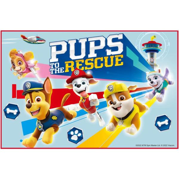 スケーター レジャーシート Sサイズ 60×90cm パウ・パトロール 23ー1人用サイズのレジャーシート。コンパクトに畳めて、お子様のリュックにすっぽり入る。サイズ約900×600mm■生産地：中国■素材：ポリエチレンかっこいい 男児 子...