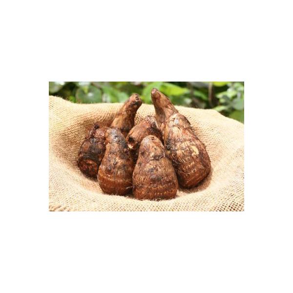 【発売日：2020年03月25日】栃木県の一部地域でしか栽培されていないという幻の里いも!ねっとりとした肉質は甘味があり、煮物にすれば最高の味わいです。