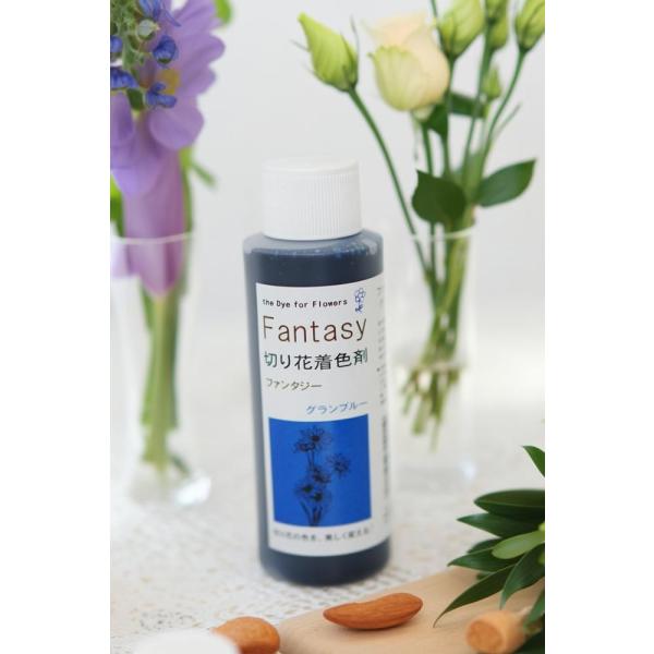 吸い上げタイプの切り花着色剤です。切り花に原液を吸わせることでお好きな色に染めることができます。異なる色同士を混ぜ、お好きな色を作ることもできます。パレス化学,ぱれす化学,Fantasy（ファンタジー）,Fantasy（ふぁんたじー）