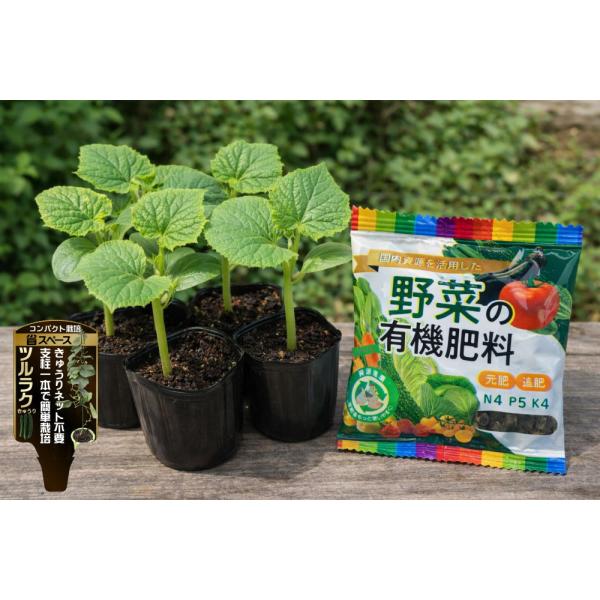 【発売日：2020年04月15日】・支柱一本でコンパクトに栽培できるきゅうり。・わき芽は摘み取り親づる一本で仕立て、ツルが支柱上部に達したら少しずつ下げてつる下ろし栽培にします。・省スペースで始められるので、園芸初挑戦の方にピッタリです。ツ...