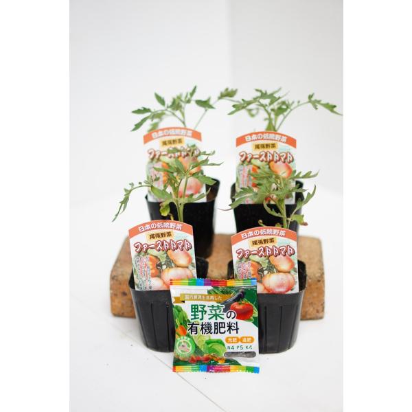 【発売日：2020年04月15日】愛知県の伝統野菜として認定されています。