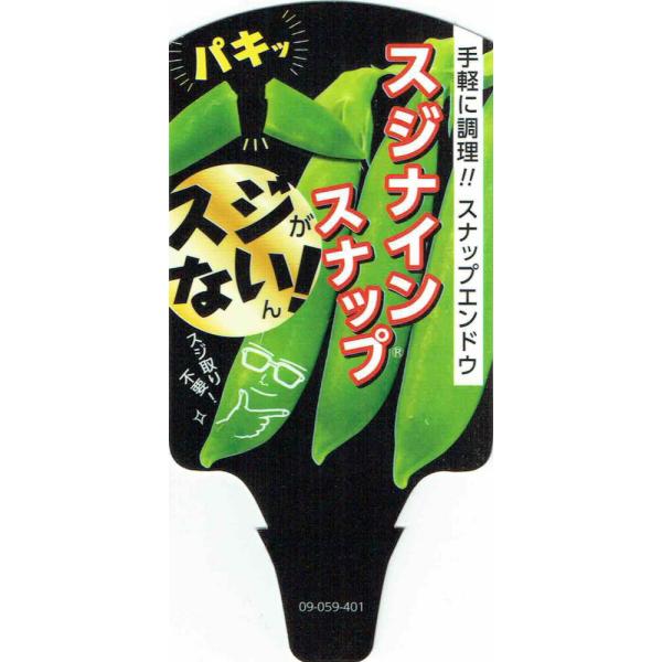 【発売日：2020年03月25日】莢数が多いので収量も多く、病気にも強い。曲莢なども少なく、とても綺麗な形の莢で果肉とマメに甘みが強くあり、とても美味しい。スナップエンドウの苗,すなっぷえんどうの苗,スジナインスナップ（つるあり）の苗,すじ...