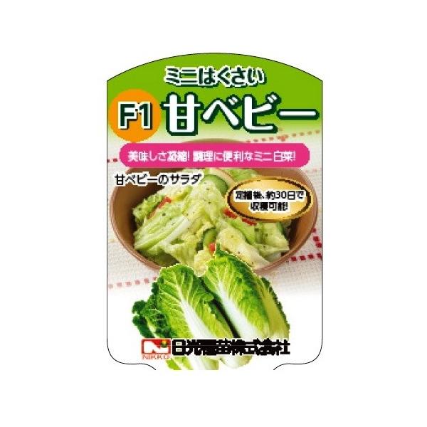 【発売日：2020年03月25日】●定植後、30〜40日で収穫が可能。●外葉から芯まで柔らかく、甘味があって生でも美味しい。●外葉がコンパクトなので株間20cmの超密植栽培も可能。●肥料は慣行の半分程度とし、春播きの低温期の育苗は温床を使用...
