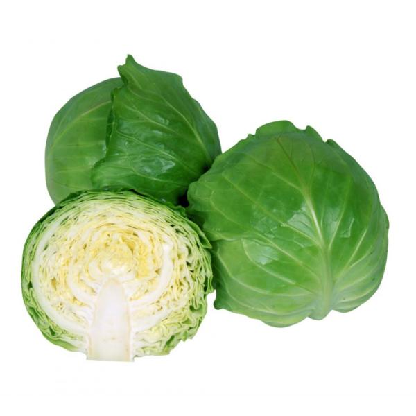 【発売日：2020年03月25日】・定植後40〜45日で収穫できる超極早生種で、球重500〜800g前後となるミニボールタイプのキャベツです。 ・球は濃緑色の丸玉でよく緊まり、葉質は柔かく甘味に富み、大へん美味しいです。 ・抽苔は比較的遅く...