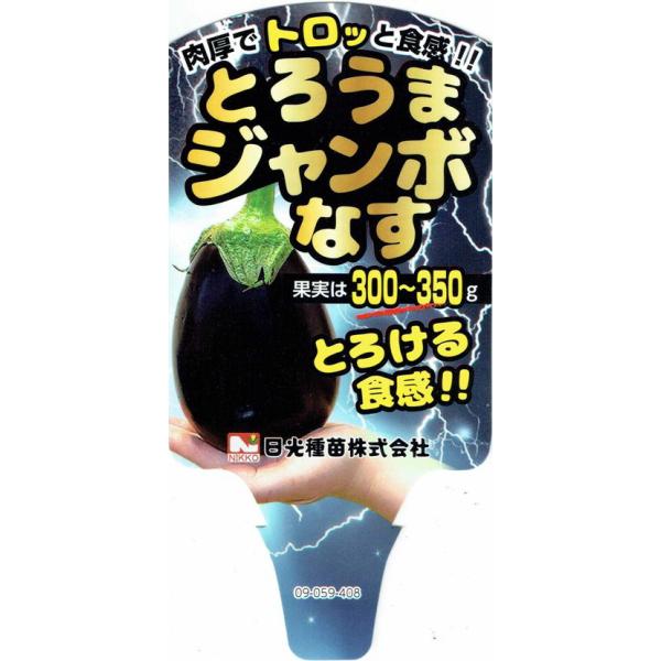 【発売日：2020年03月25日】ヘタは鮮やかな緑色。果色は濃黒紫色で、果実は300〜350gの大型の米なすです。肉厚でしまった肉質で、加熱するとトロッとした食感があります。揚げ物、煮物、炒め物などよく合う食べ応えのあるナスです。とろうまジ...