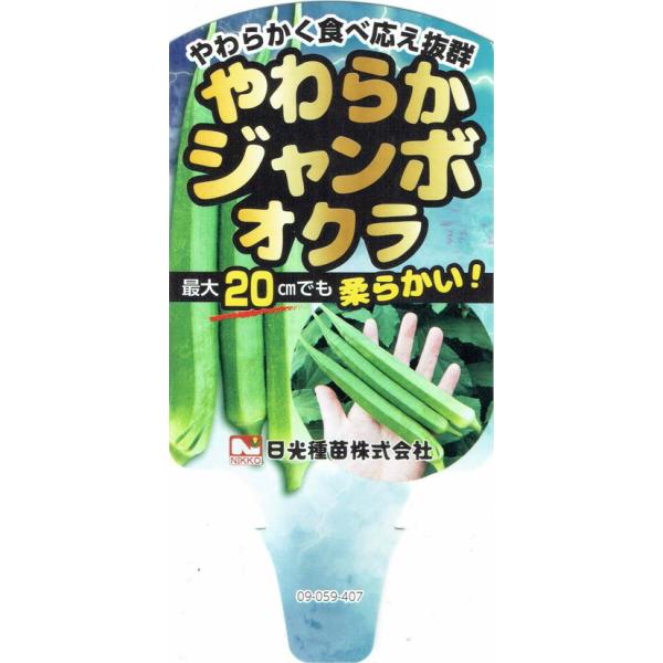 莢の長さが20cmでもスジが入りにくく、やわらかい五角オクラ。長さがあり肉厚。食べ応えがあり、揚げ物や天ぷら、さっとゆでてサラダにも最適です。収穫の幅が広く、通常のオクラのサイズ10cmから20cm程度までレシピに合わせて収穫も可能です。夏...