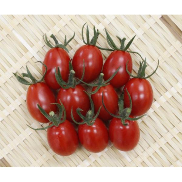 【発売日：2020年04月15日】・これまでにないミラクルな甘さのミニトマト・糖度約１０〜１１度（２０１６年６月測定）・丸型