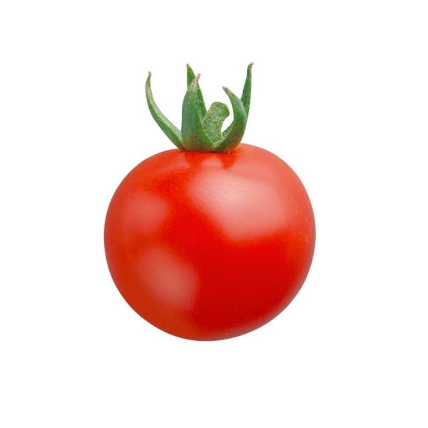 【発売日：2020年04月15日】夏のトマトの大敵「疫病」に耐病性を有する。病気に強く、草勢旺盛で作りやすい！上段までしっかり実り、多収！ジューシーで甘い真っ赤な果実。一般品種の約2倍の「リコピン」