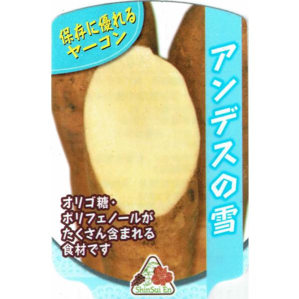 育てやすいイモ類で、食物繊維やオリゴ糖が多く含まれていると言われています。生ではシャリシャリとした触感があり、サラダにも使えます。保存に優れるヤーコンで、オリゴ糖・ポリフェノールがたくさん含まれる食材です。
